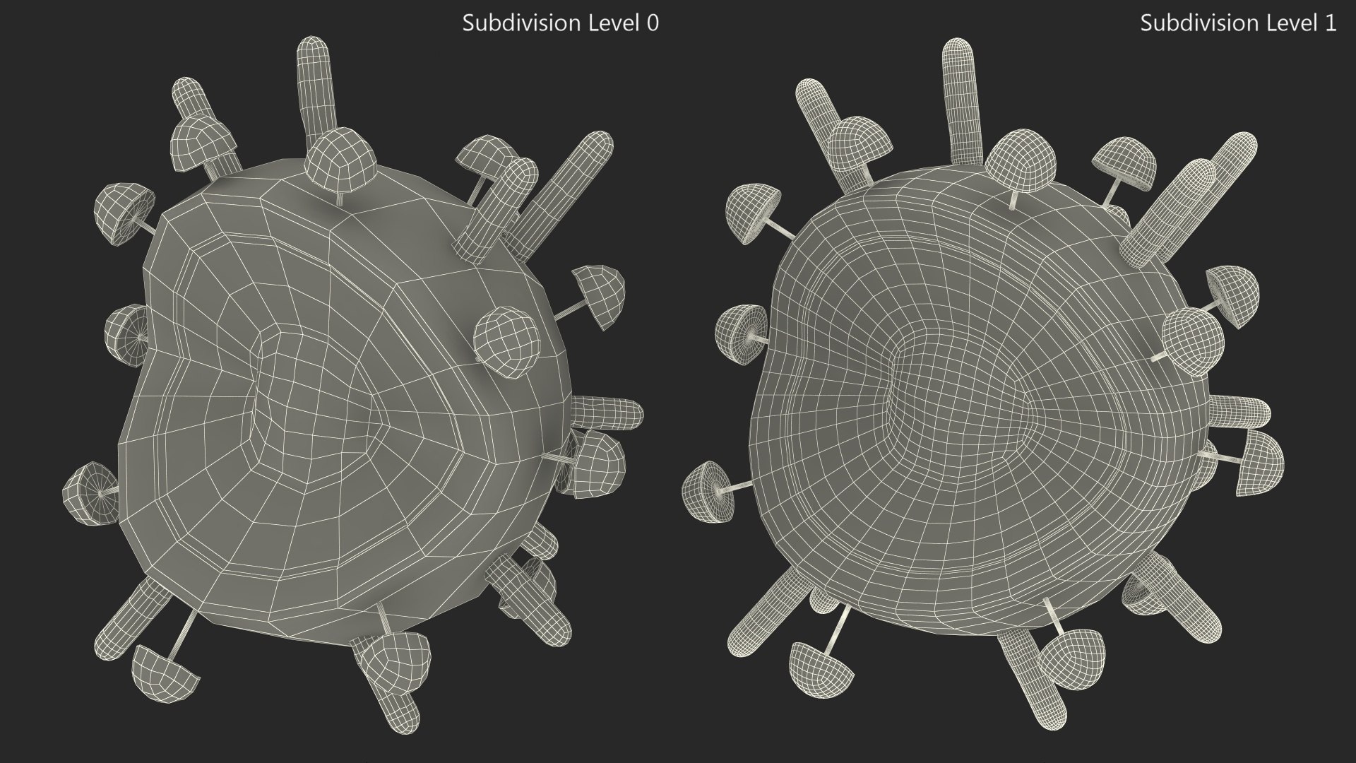 Influenza Virus Anatomy Model Cross-Section Model - TurboSquid 2414786