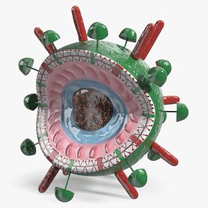 3D Virus Models - Browse & Download Formats - TurboSquid