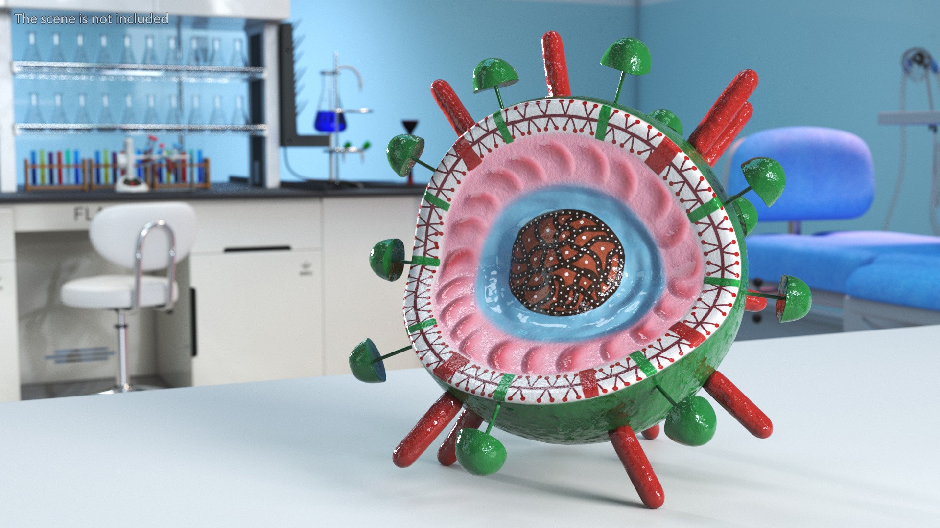 Influenza Virus Anatomy Model Cross-Section Model - TurboSquid 2414786