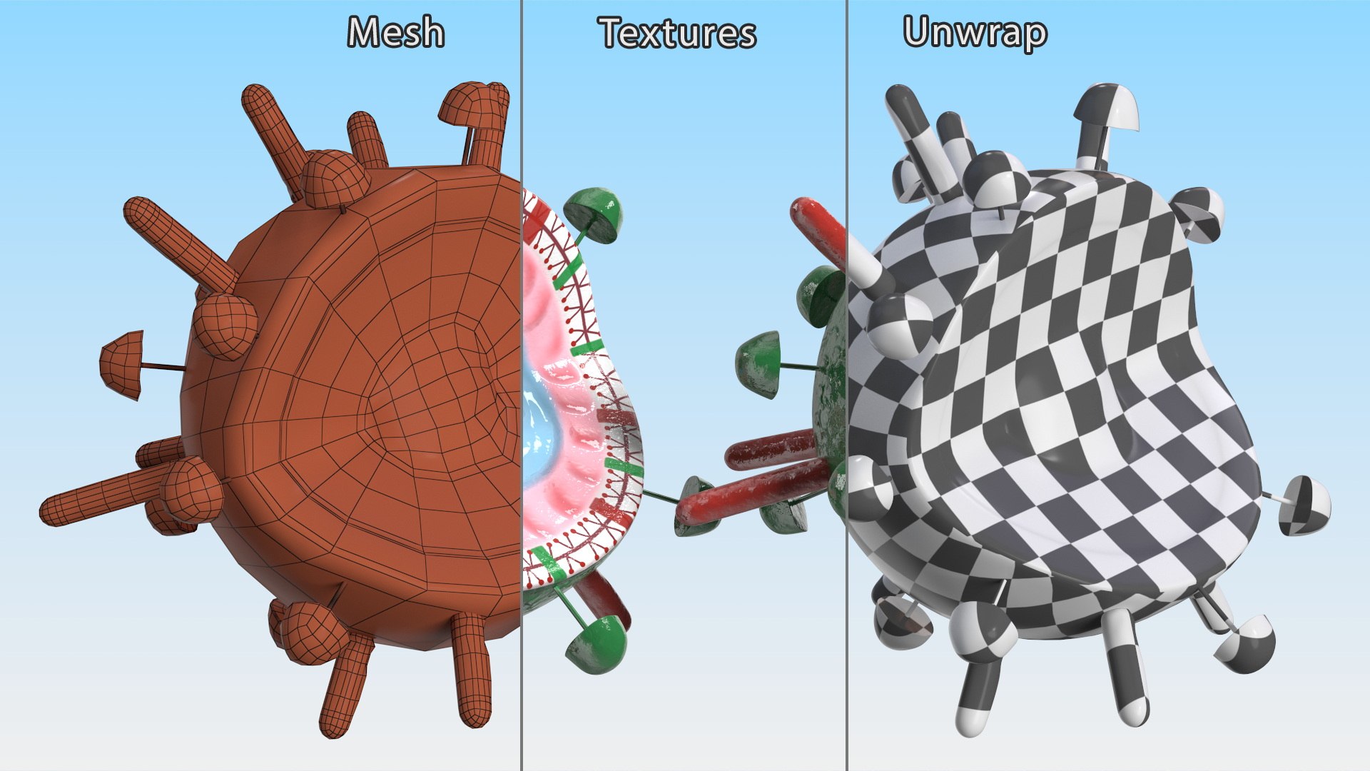 Influenza Virus Anatomy Model Cross-Section Model - TurboSquid 2414786
