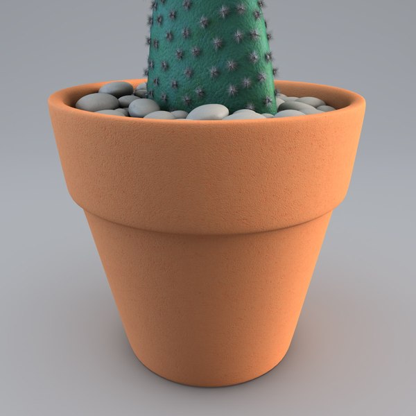 cactus plant 2 max
