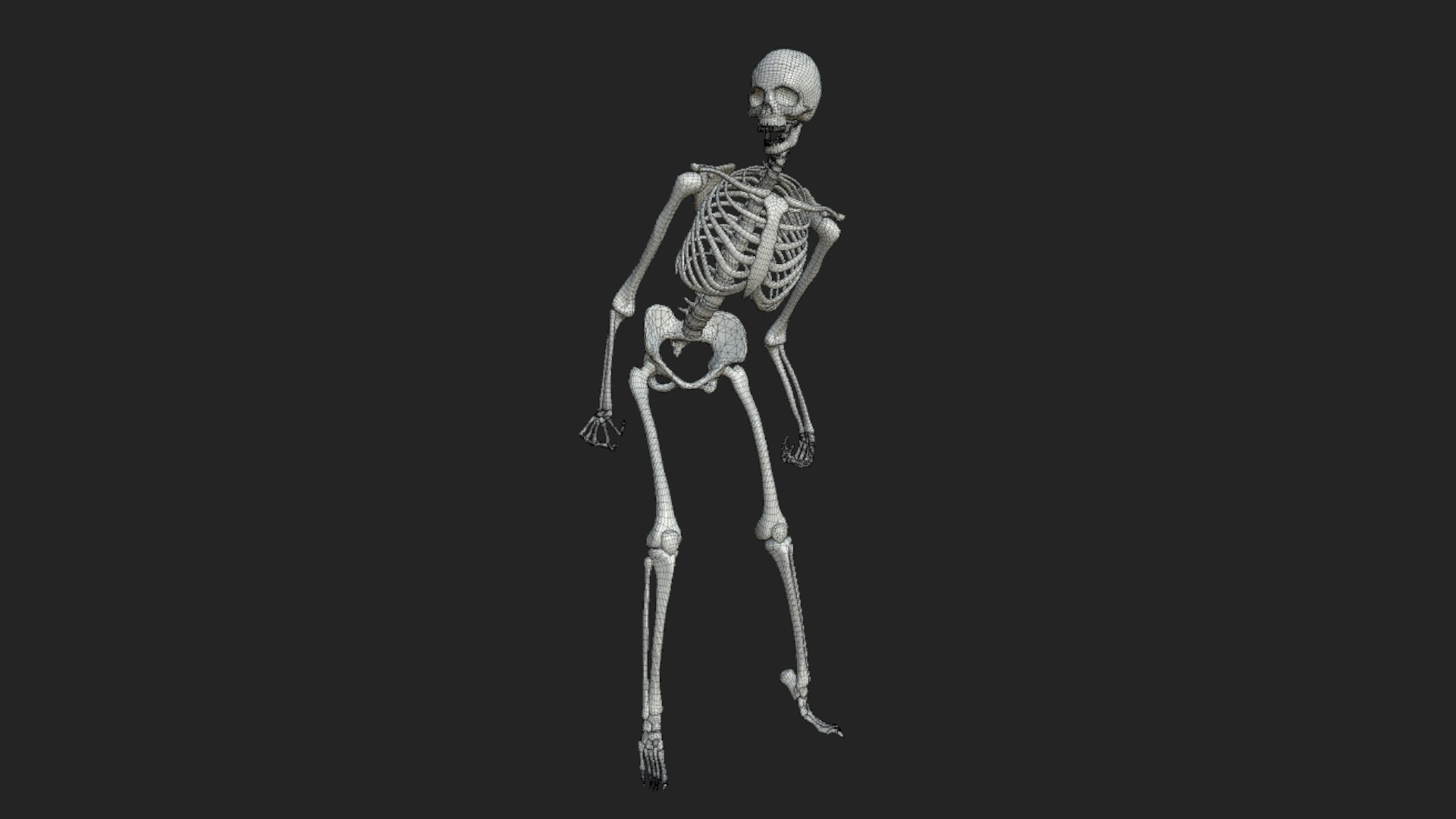 3D Skeleton - TurboSquid 1953788