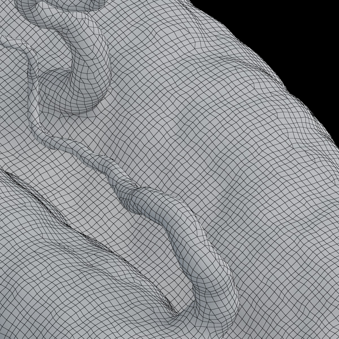 Axon dendrite 3D model - TurboSquid 1329917