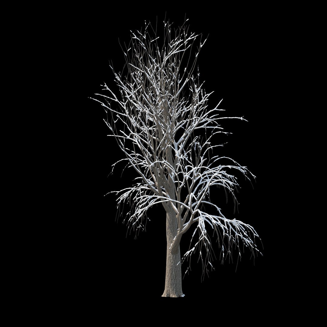 3D Winter Tree 031 Snow - TurboSquid 1236718