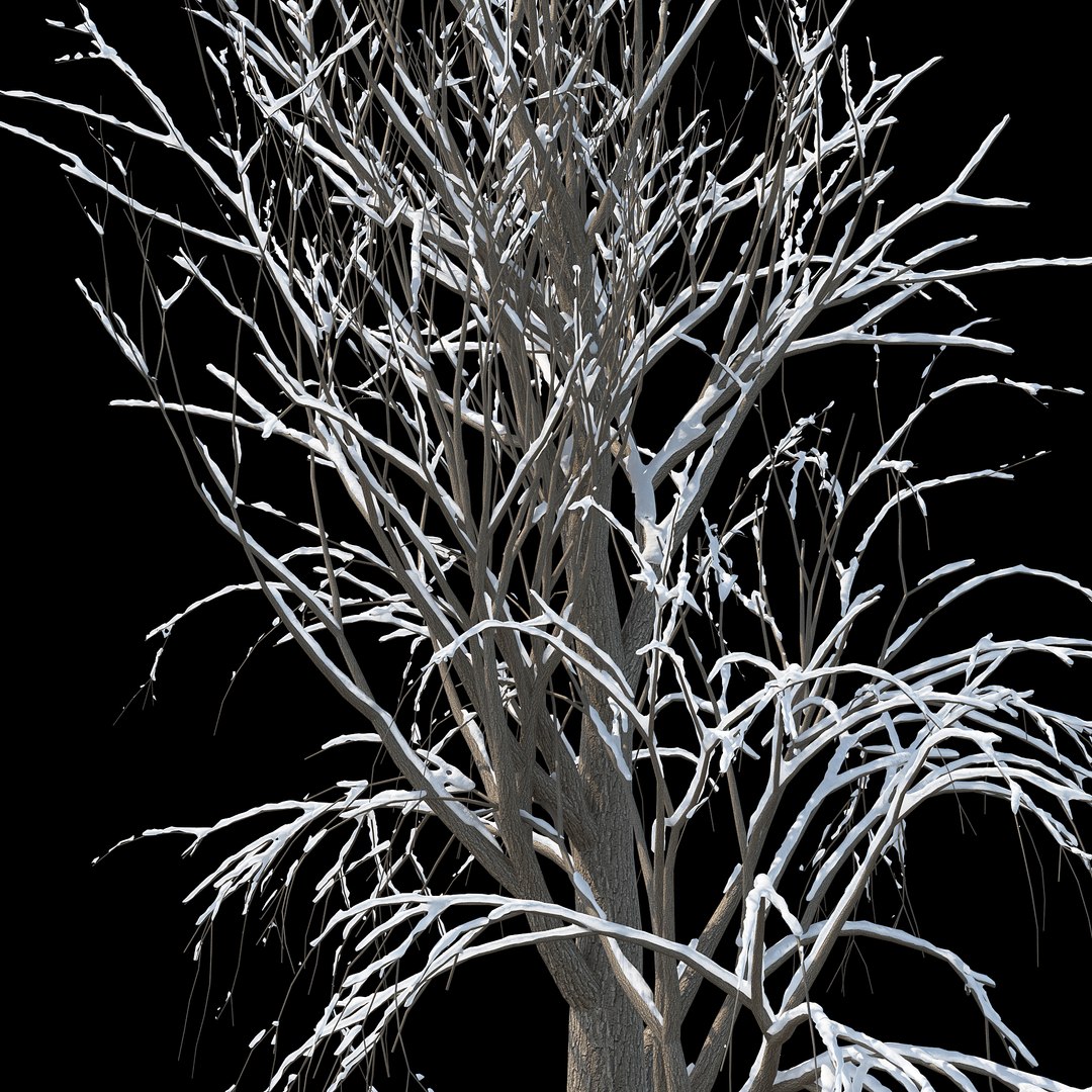 3D Winter Tree 031 Snow - TurboSquid 1236718