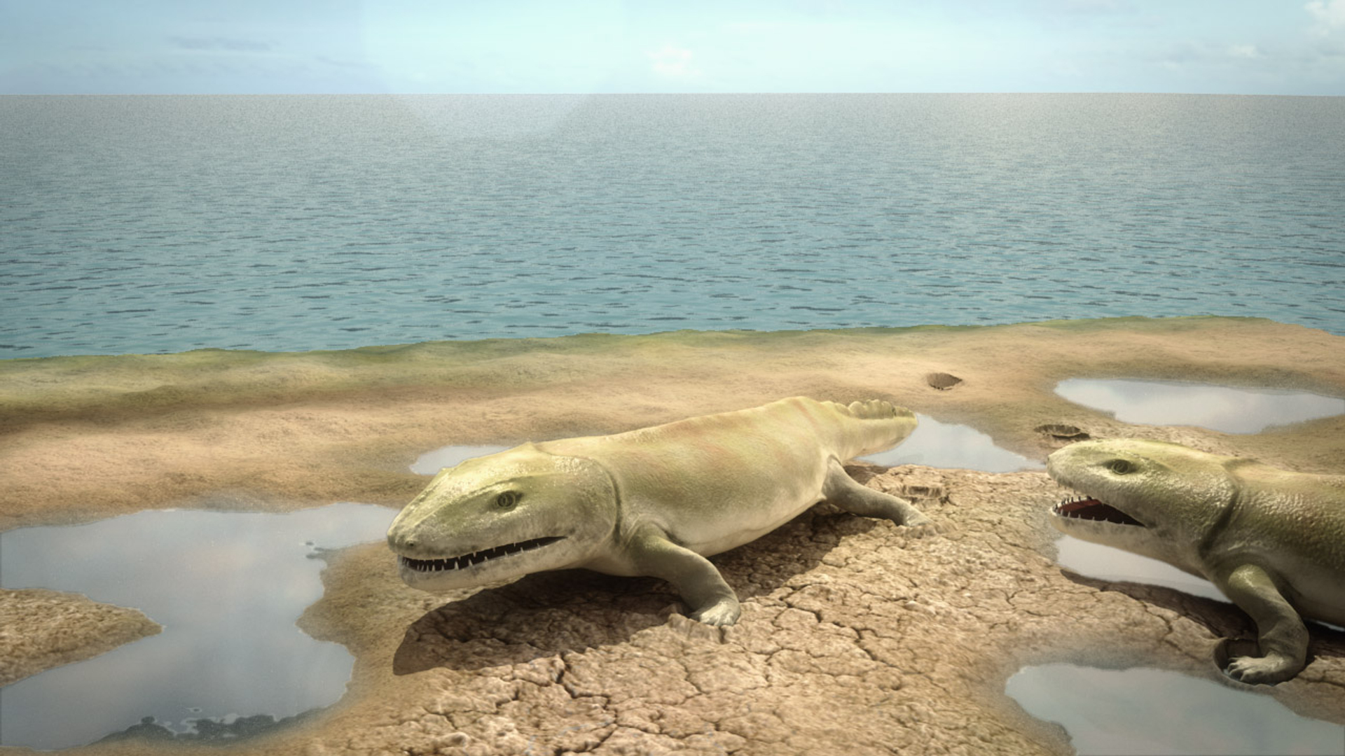 Ma Creature Tetrapod Ichthyostega
