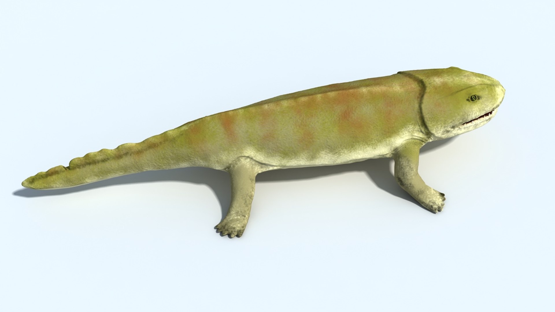 Ma Creature Tetrapod Ichthyostega