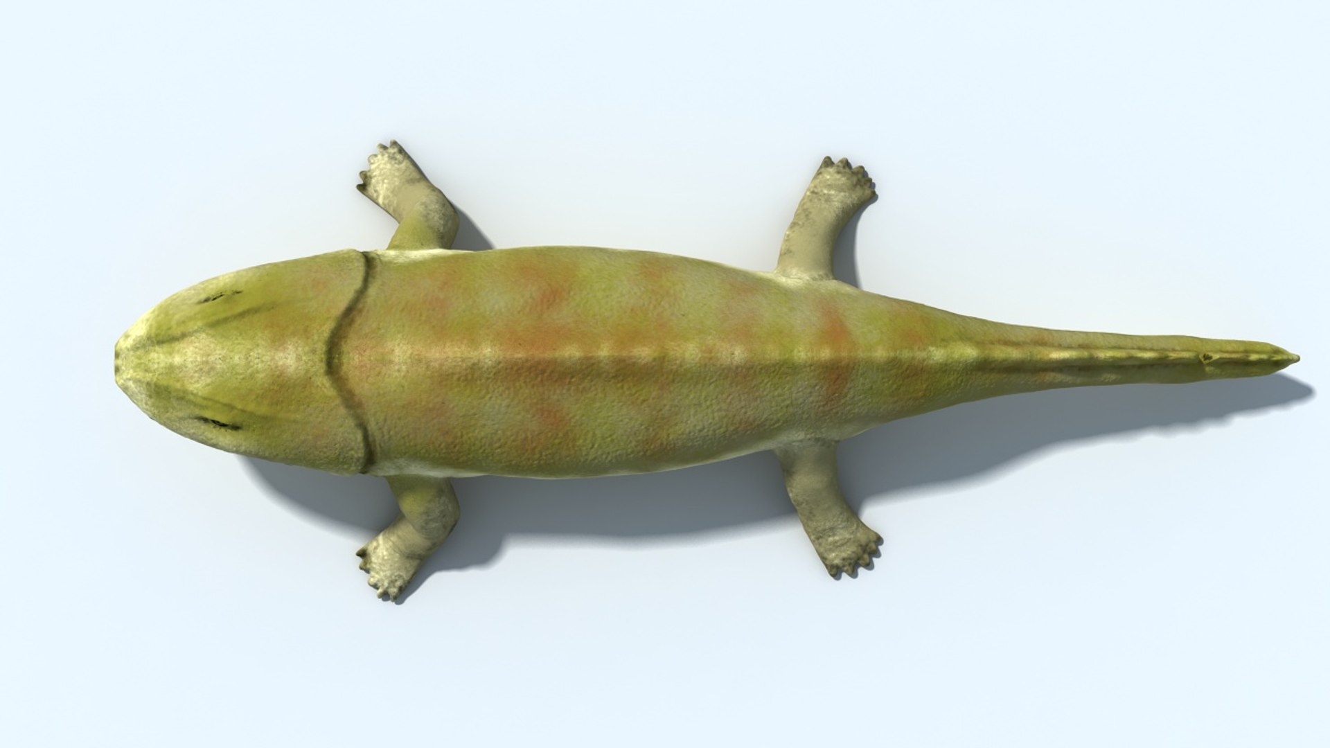 Ma Creature Tetrapod Ichthyostega