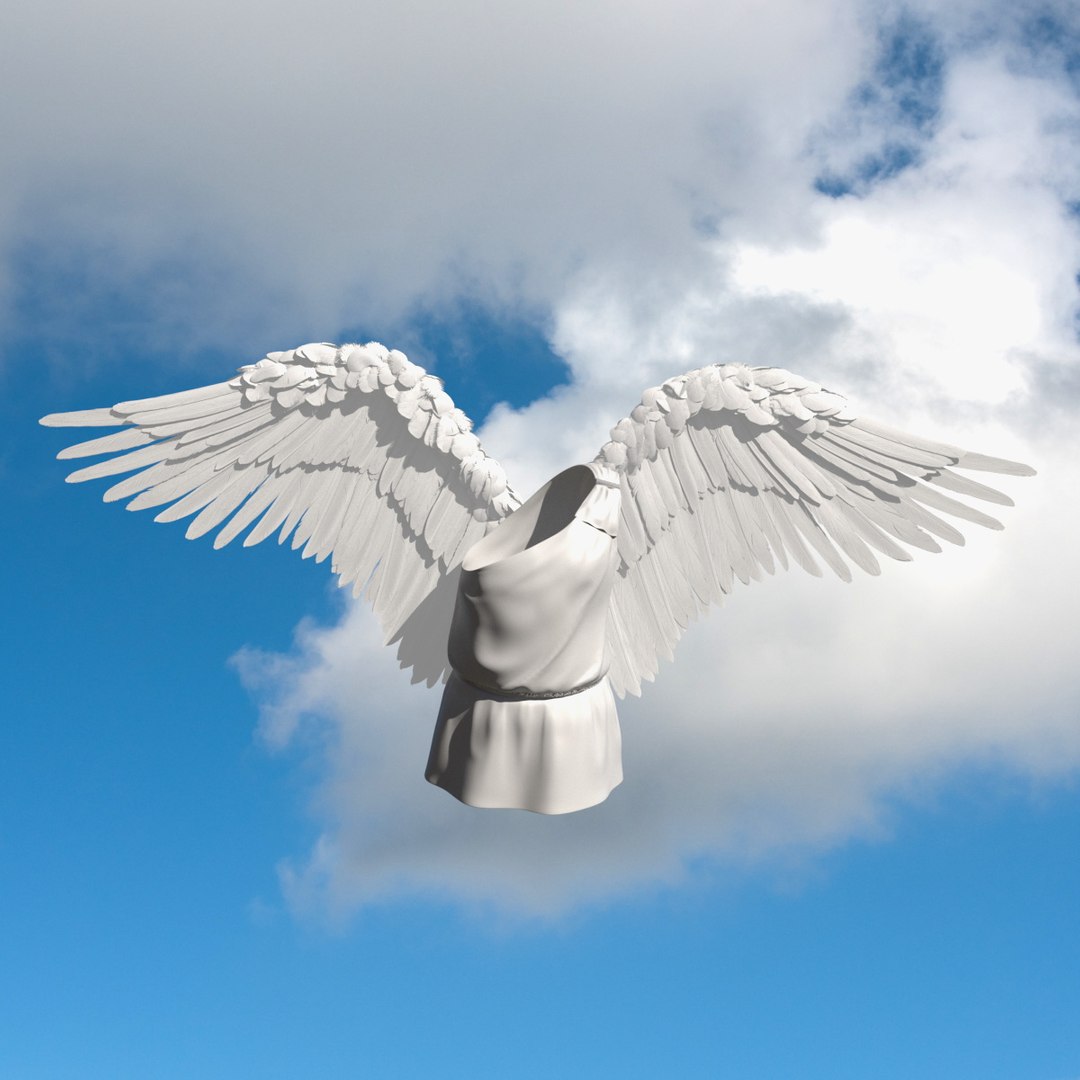 Cupid Winged Suit 3D Model - TurboSquid 2304580