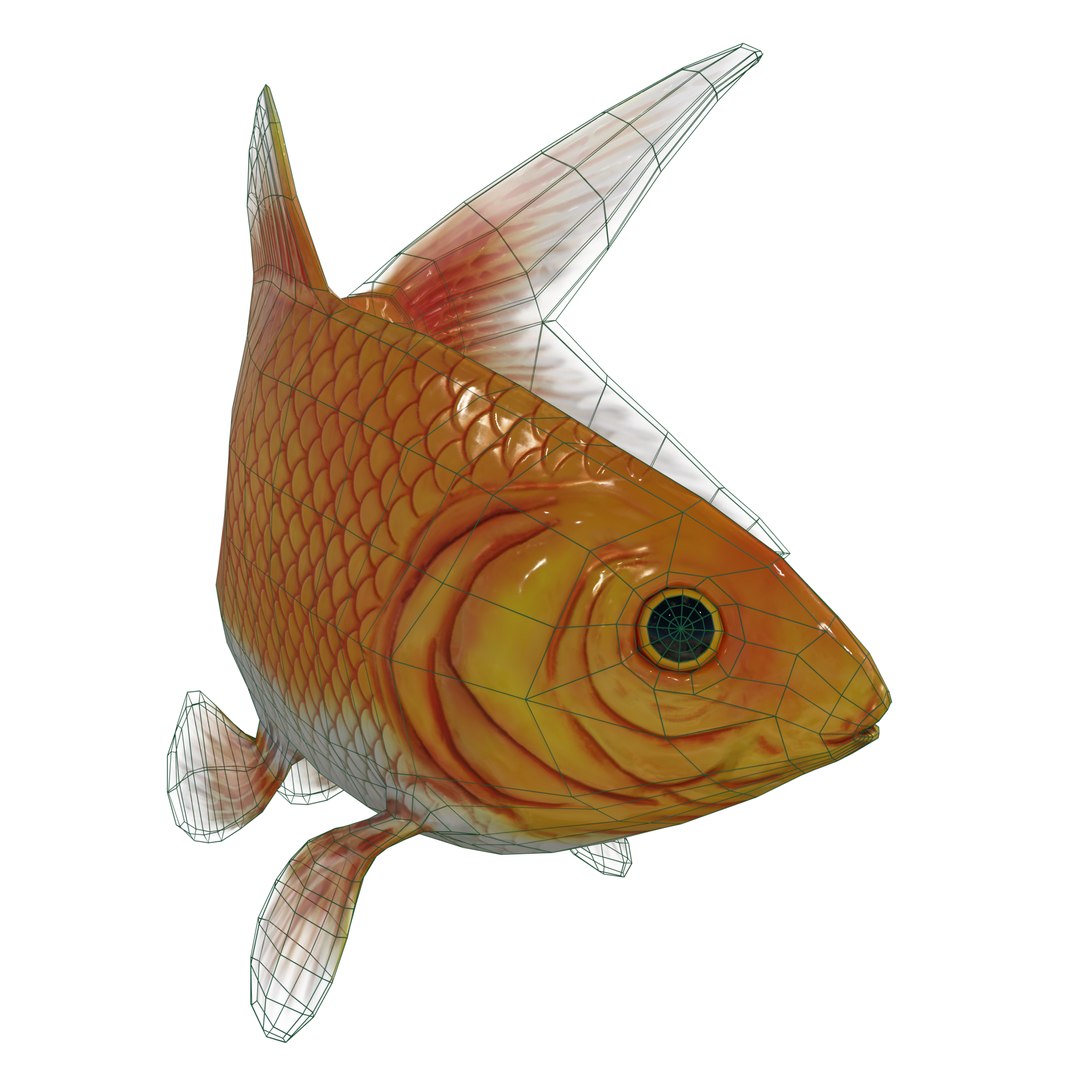Fish 3D model - TurboSquid 1668934