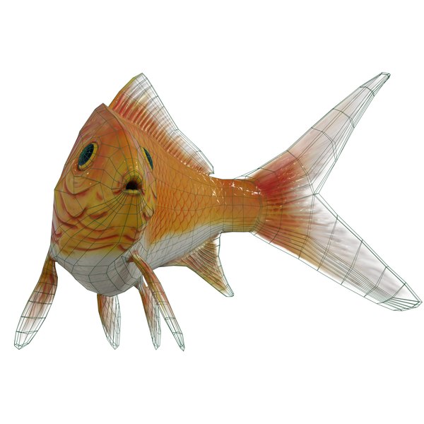 Fish 3D model - TurboSquid 1668934