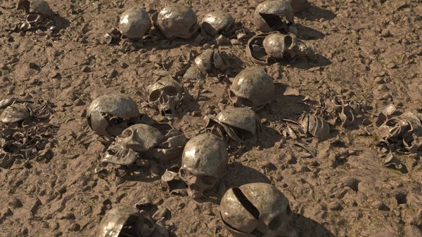 Broken skull model - TurboSquid 1698432