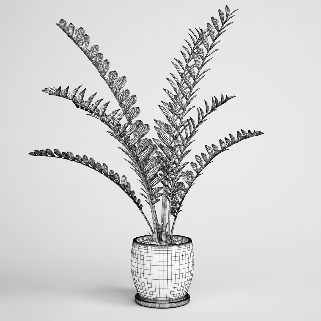 Plant 3d C4d