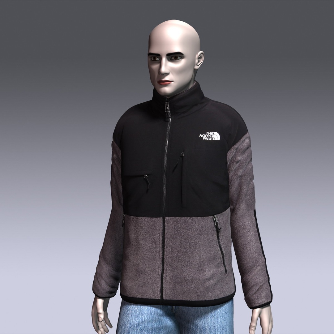 3d north face denali jacket model