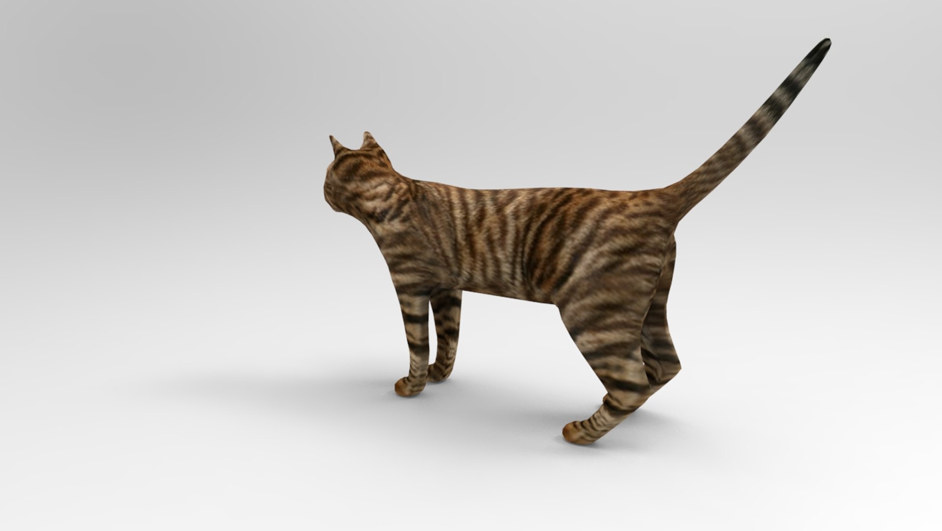Cat Rigged Model | 1142721 | TurboSquid