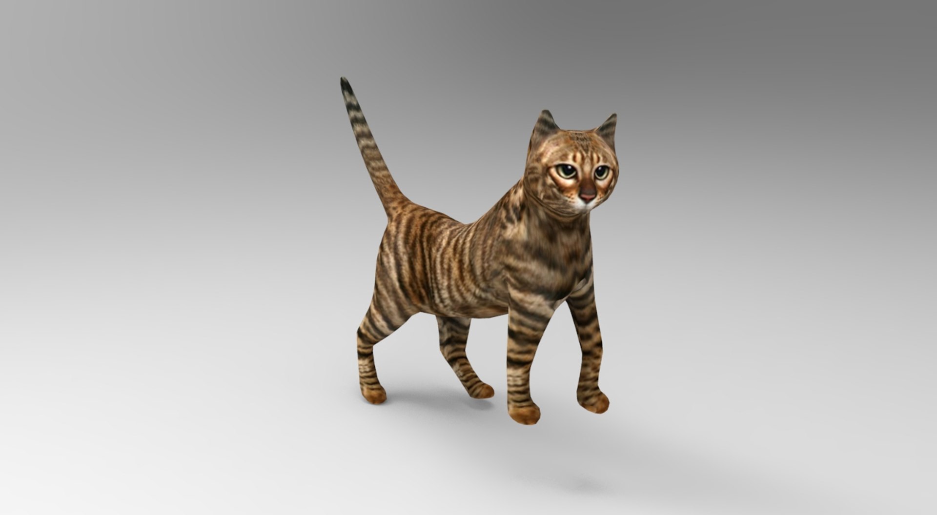 Cat Rigged Model | 1142721 | TurboSquid