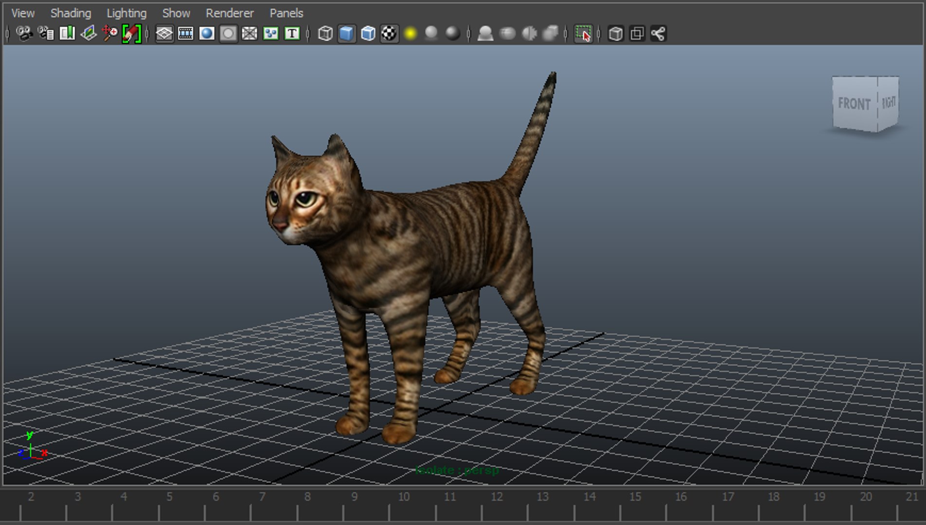 Cat Rigged Model | 1142721 | TurboSquid