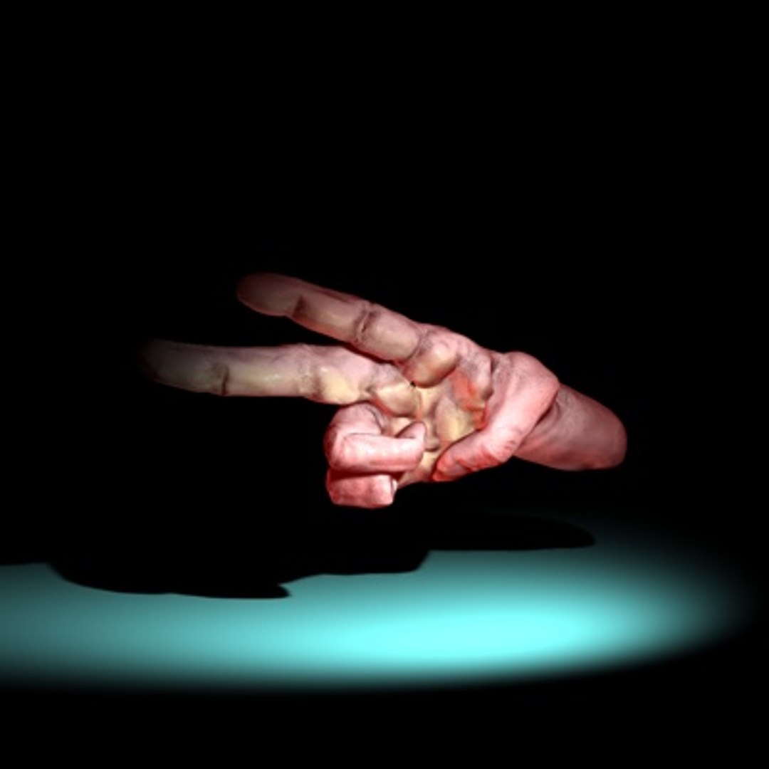 3d Hand Rigged Animation
