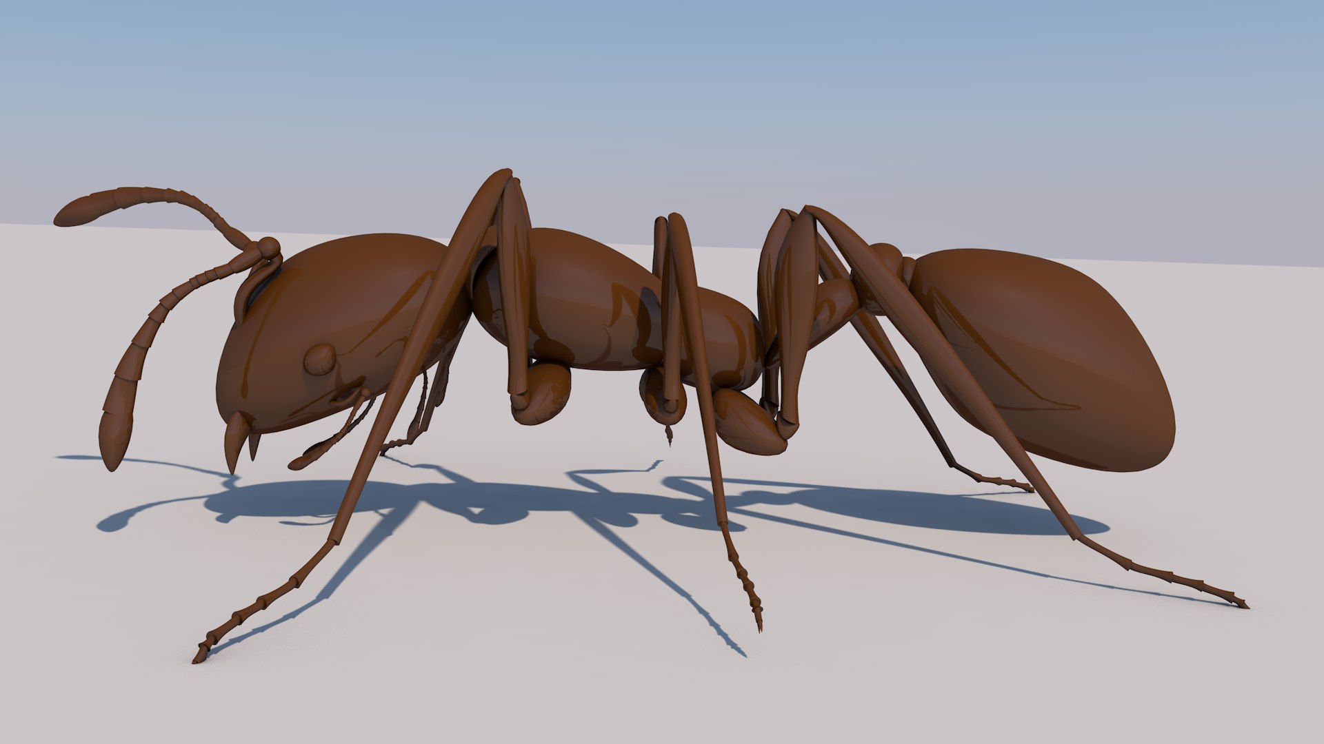 Ant C4d
