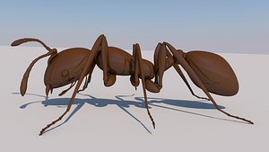 Free 3D Ant Models - Available For Download On TurboSquid
