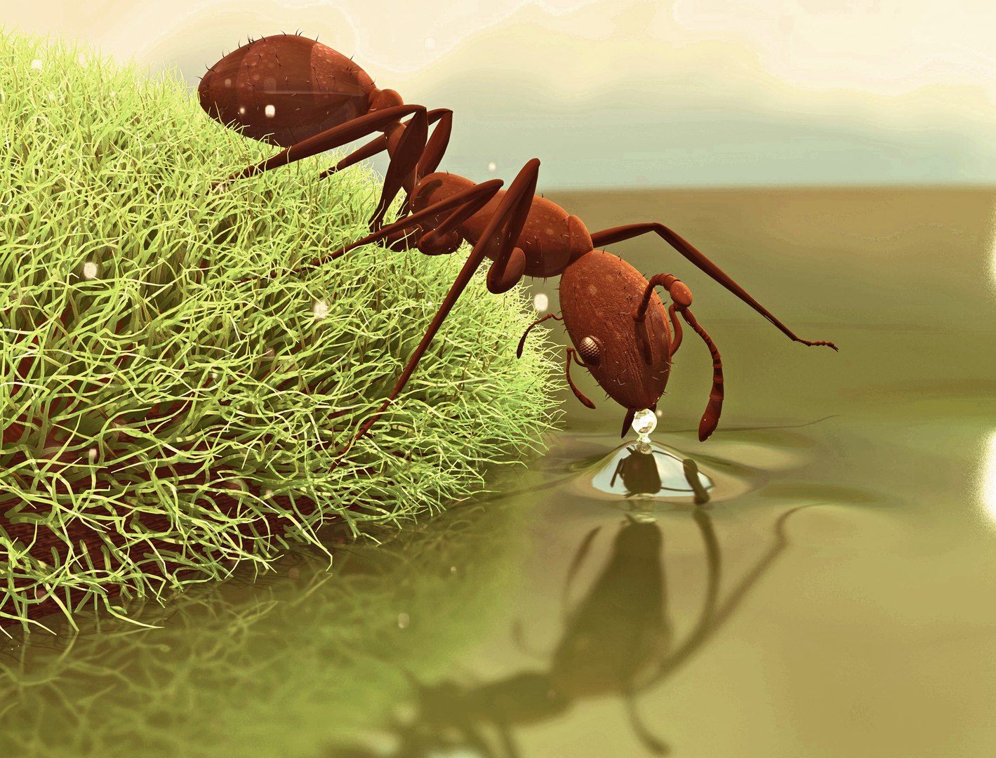 Ant C4d