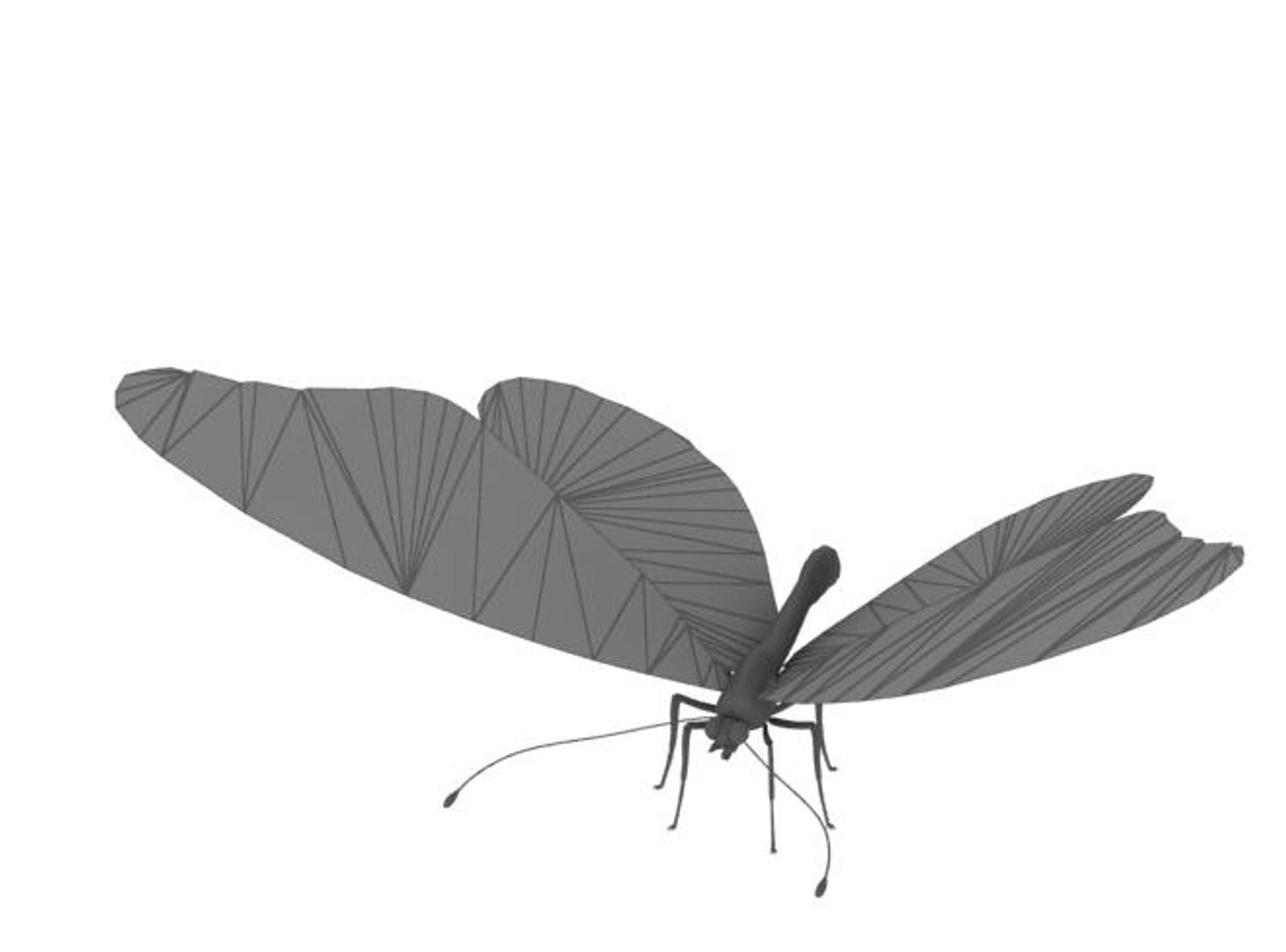 3d Butterfly