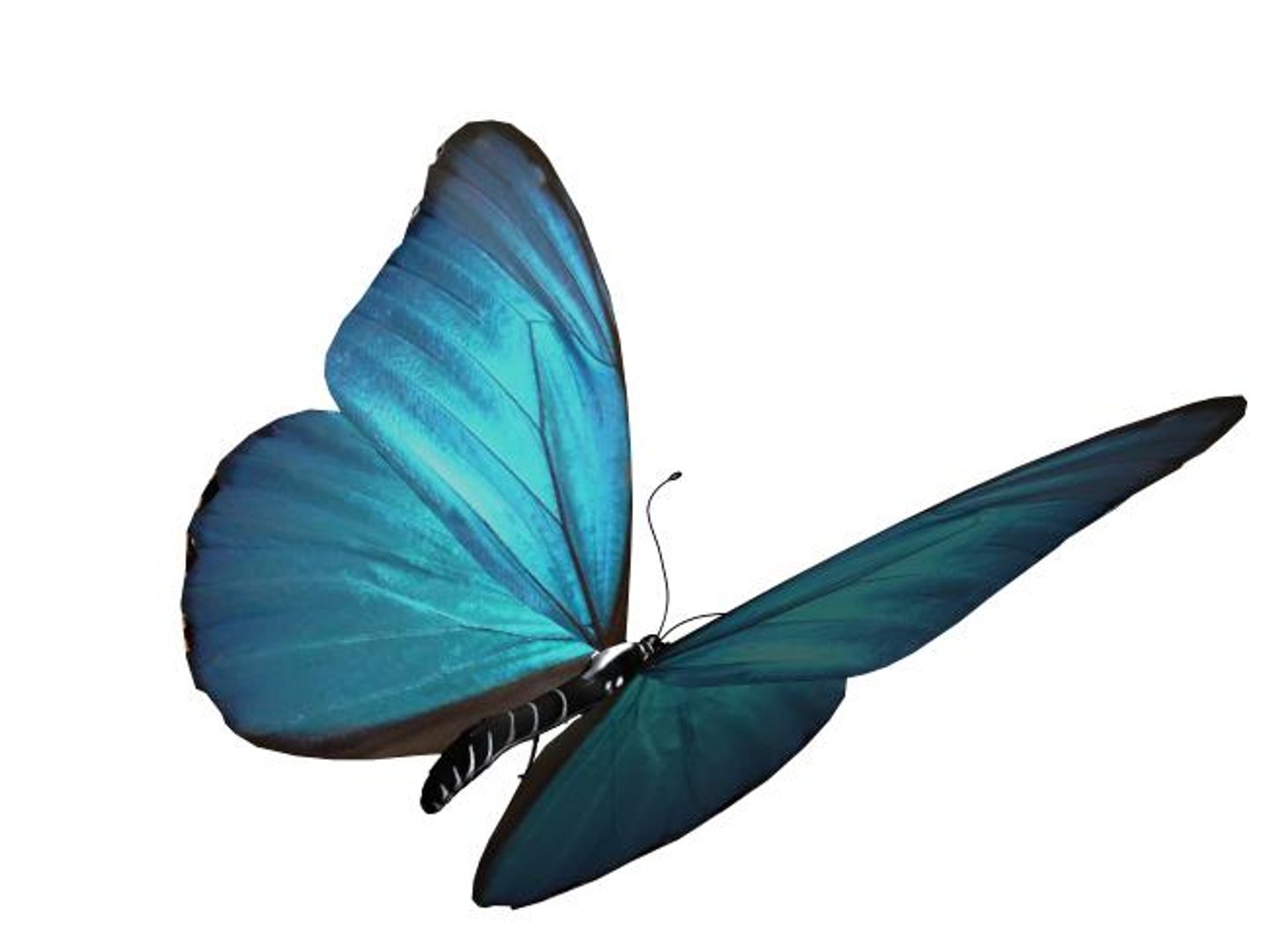 3d Butterfly