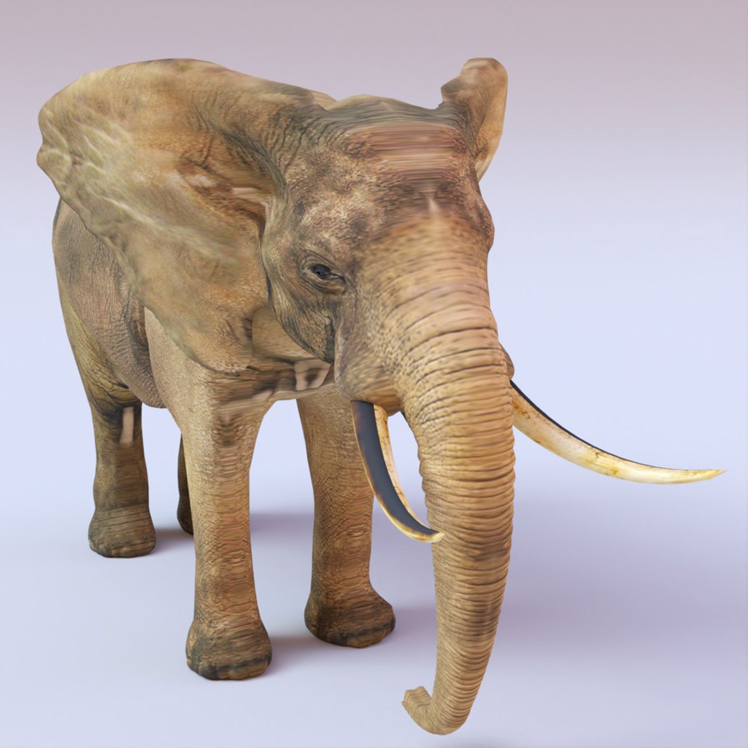 ELEPHANT Model - TurboSquid 2031622