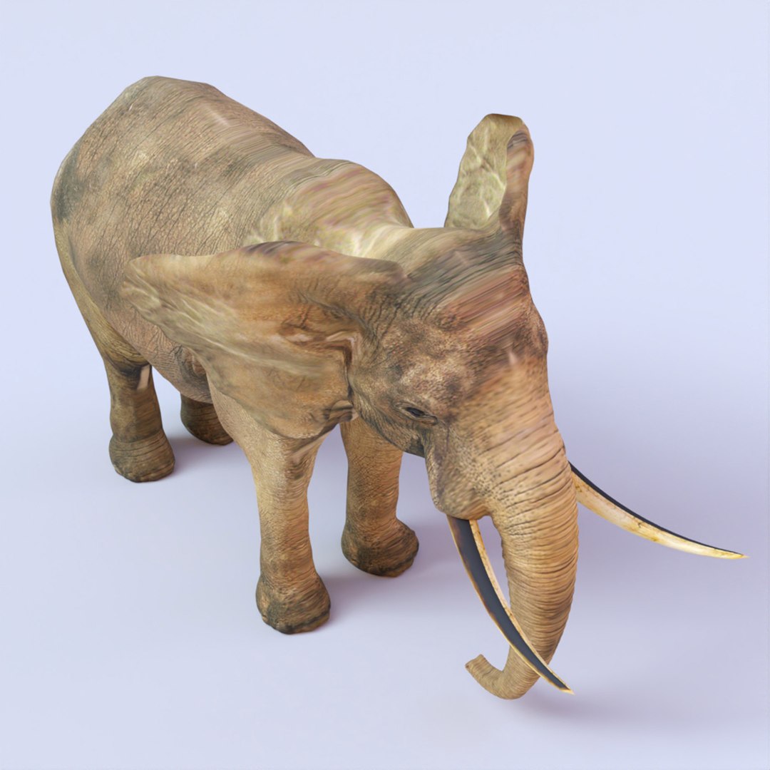 ELEPHANT Model - TurboSquid 2031622