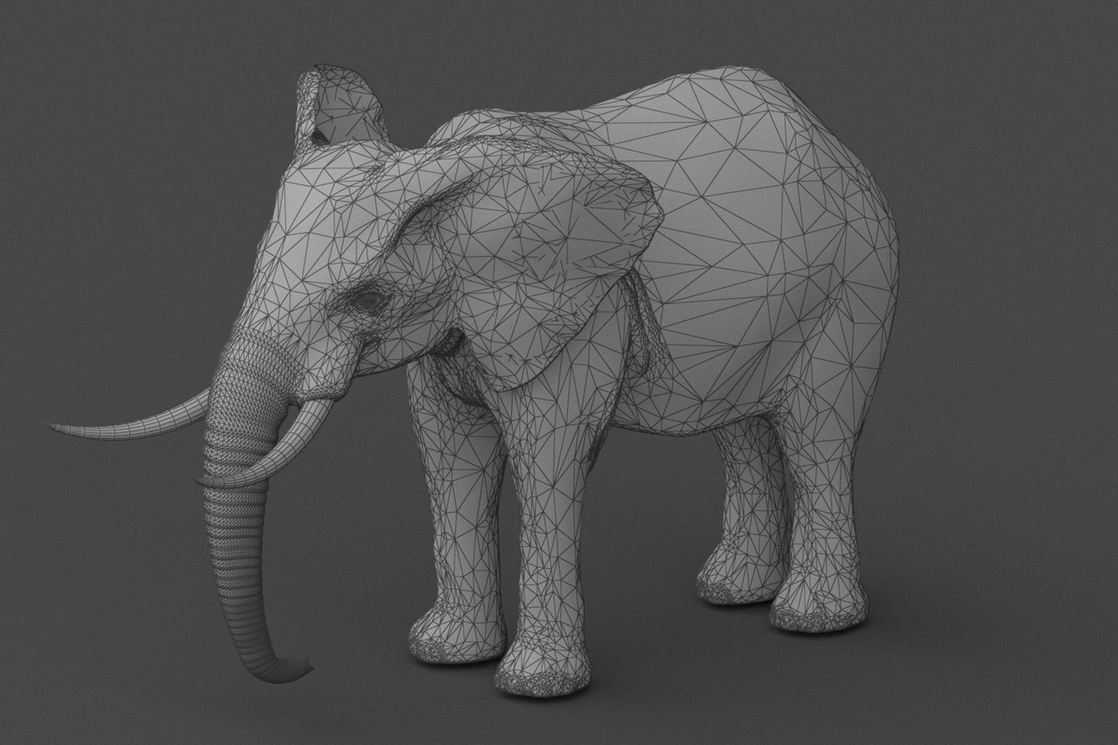 ELEPHANT Model - TurboSquid 2031622
