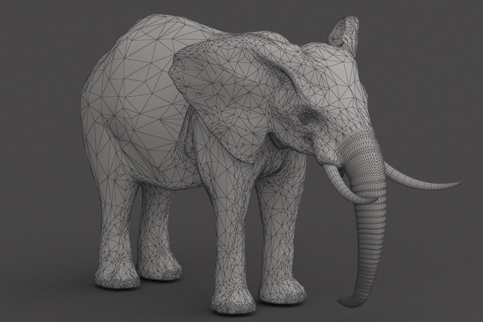 ELEPHANT Model - TurboSquid 2031622