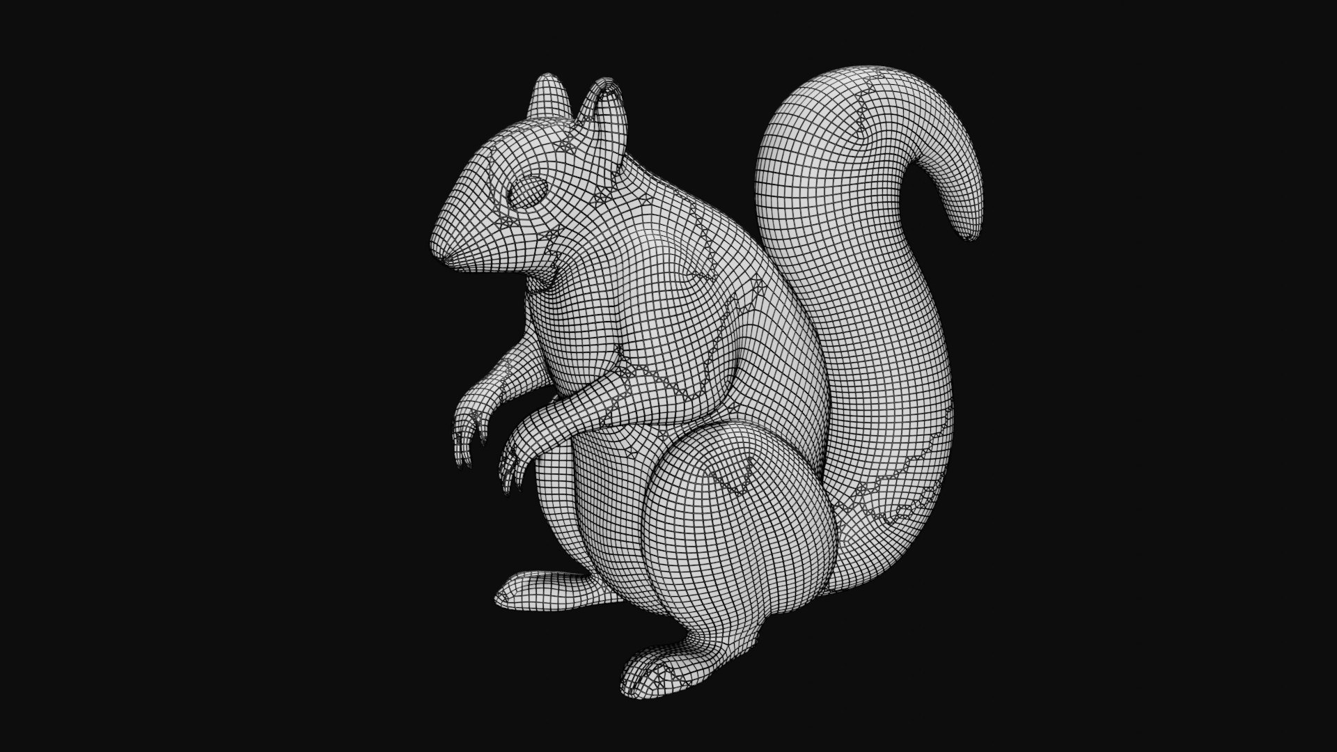 Fully Rigged Low Poly Squirrel 3D Model - TurboSquid 1760795