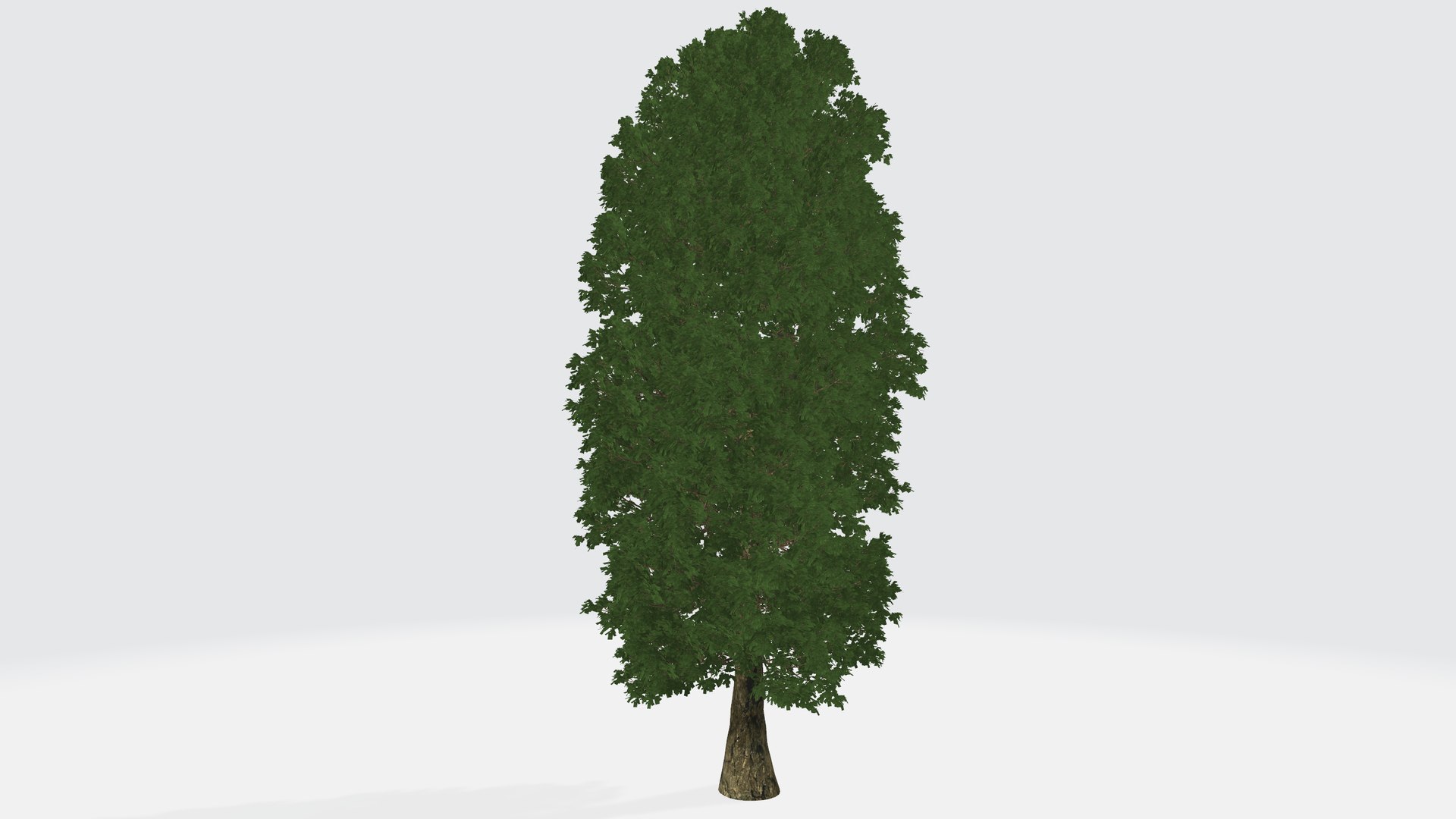 3D Straight Green Tree Model - TurboSquid 1955964