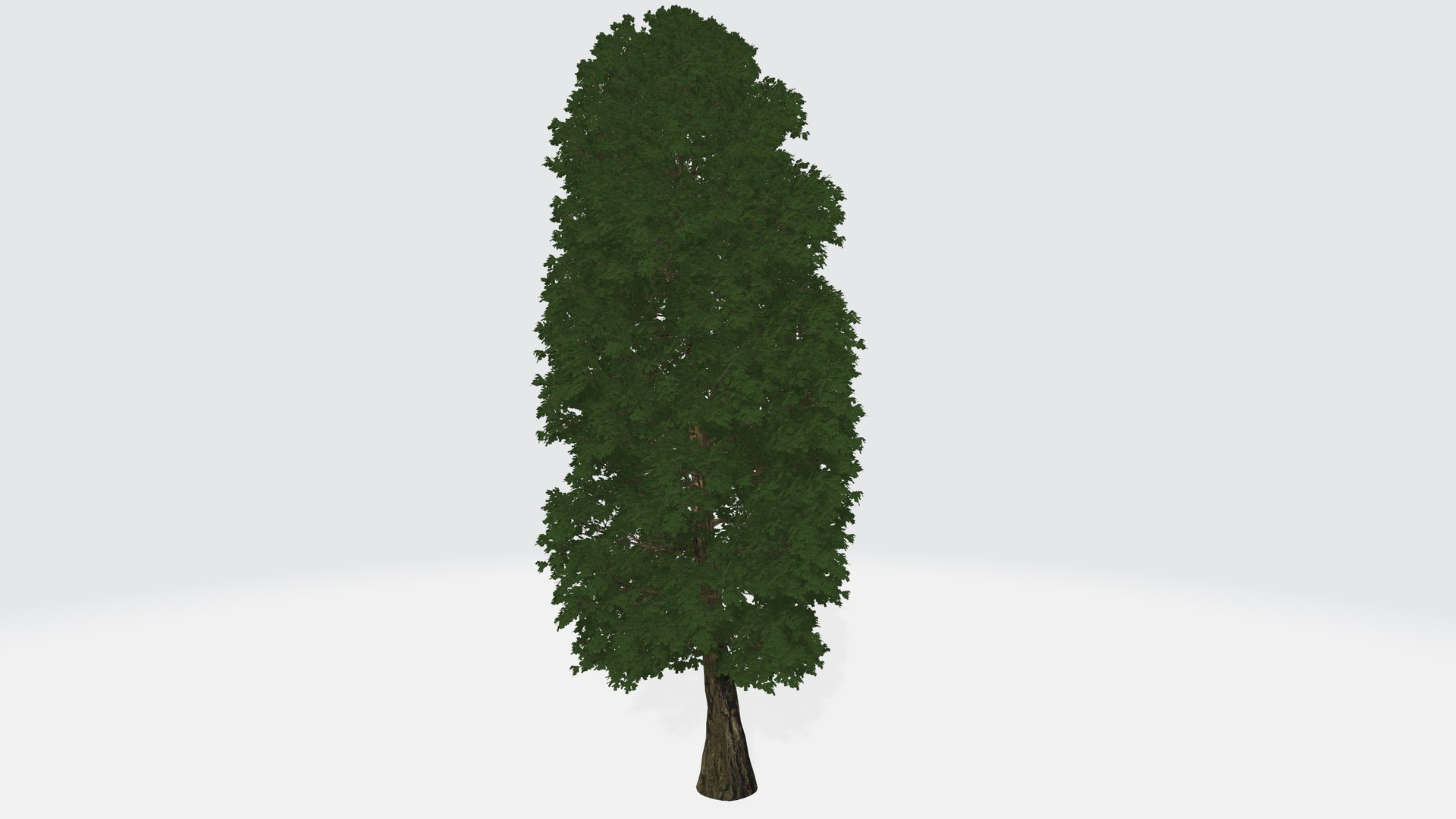 3D Straight Green Tree Model - TurboSquid 1955964
