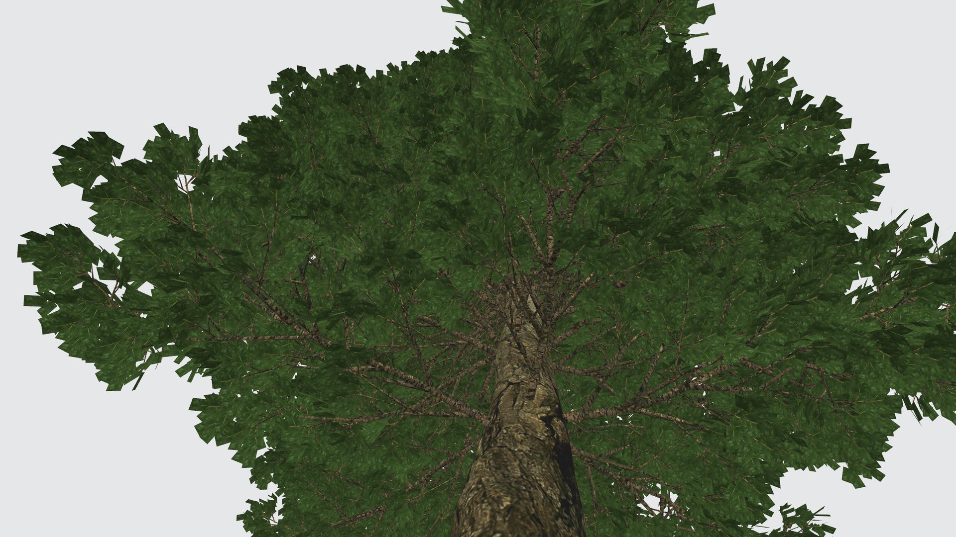 3D Straight Green Tree Model - TurboSquid 1955964