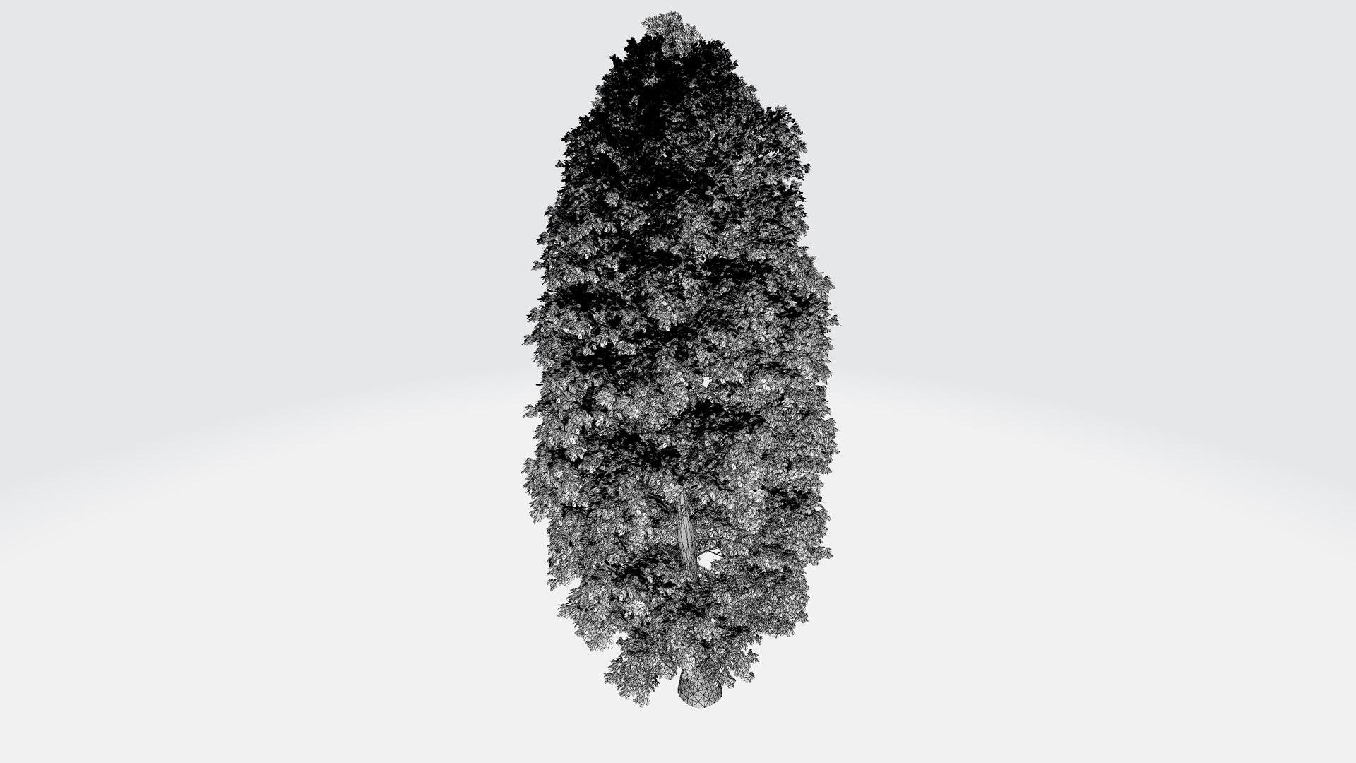 3D Straight Green Tree Model - TurboSquid 1955964