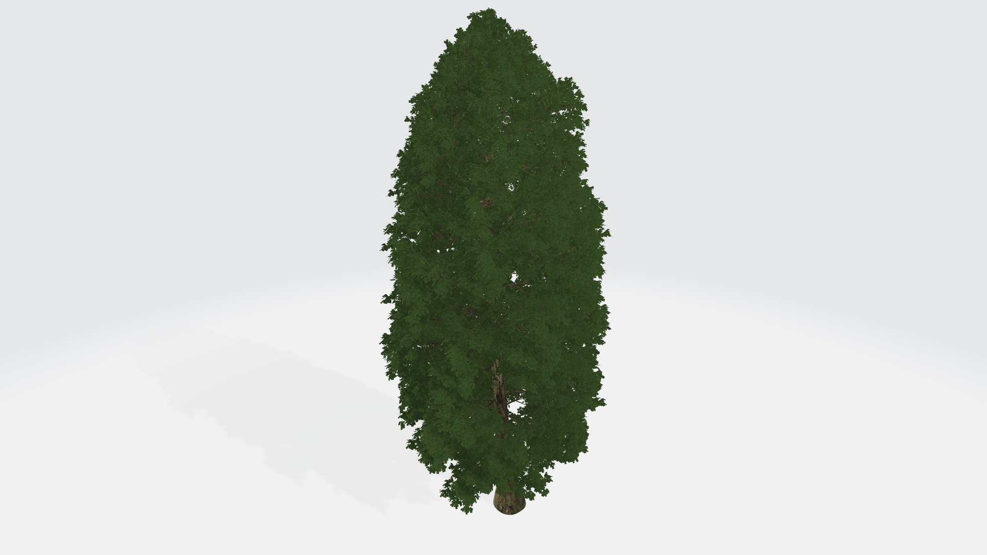 3D Straight Green Tree Model - TurboSquid 1955964