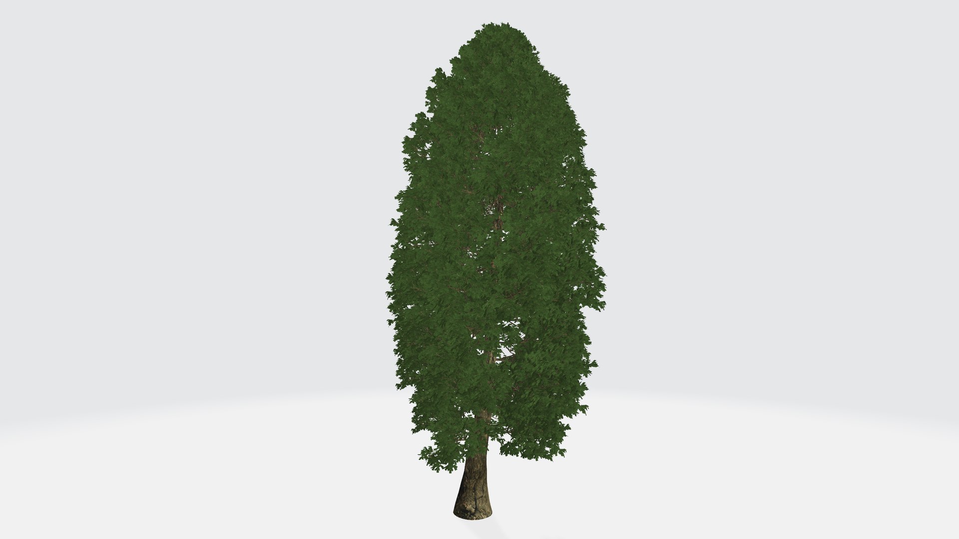 3D Straight Green Tree Model - TurboSquid 1955964