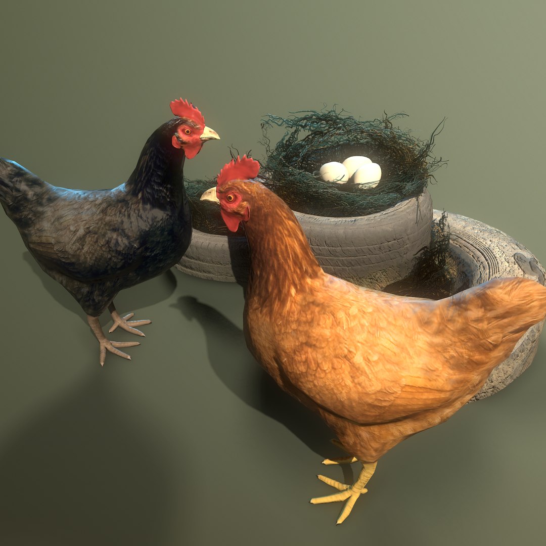 Chicken PBR Low-poly 3D Model 3D Model - TurboSquid 1796748