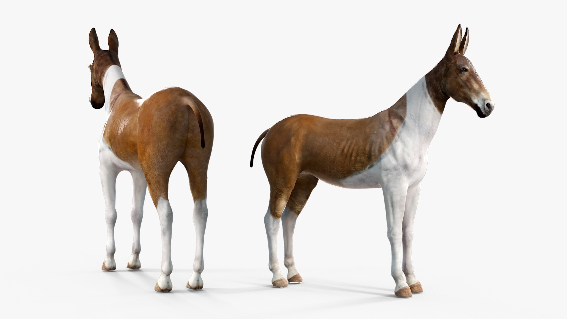 3D Mule Drawn Stone Well For 3D Print - TurboSquid 2347091