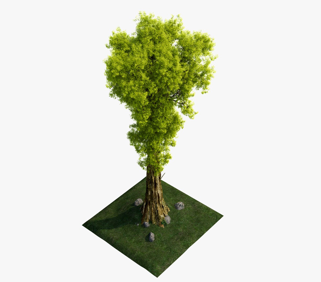 3D Fantasy Long Tree - TurboSquid 1969653