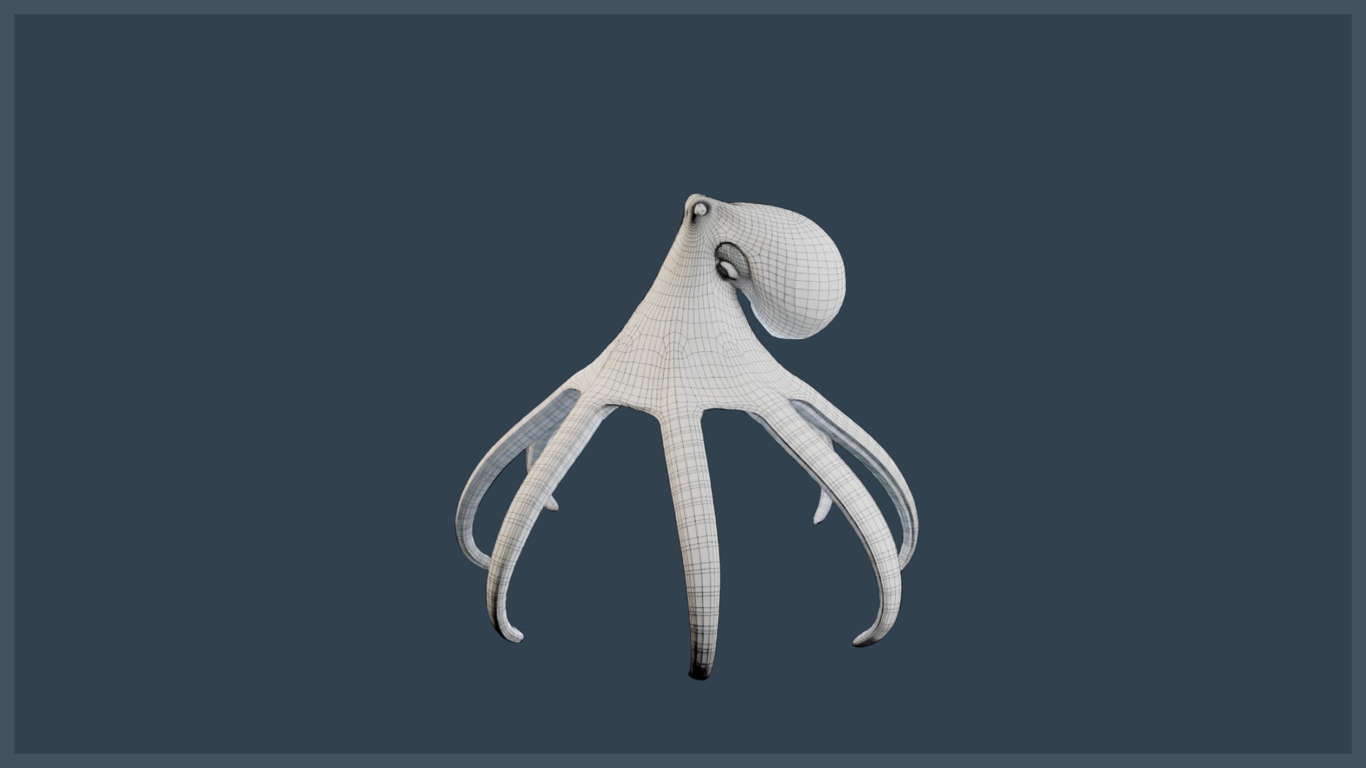 3D octopus swimming animation model - TurboSquid 1609029