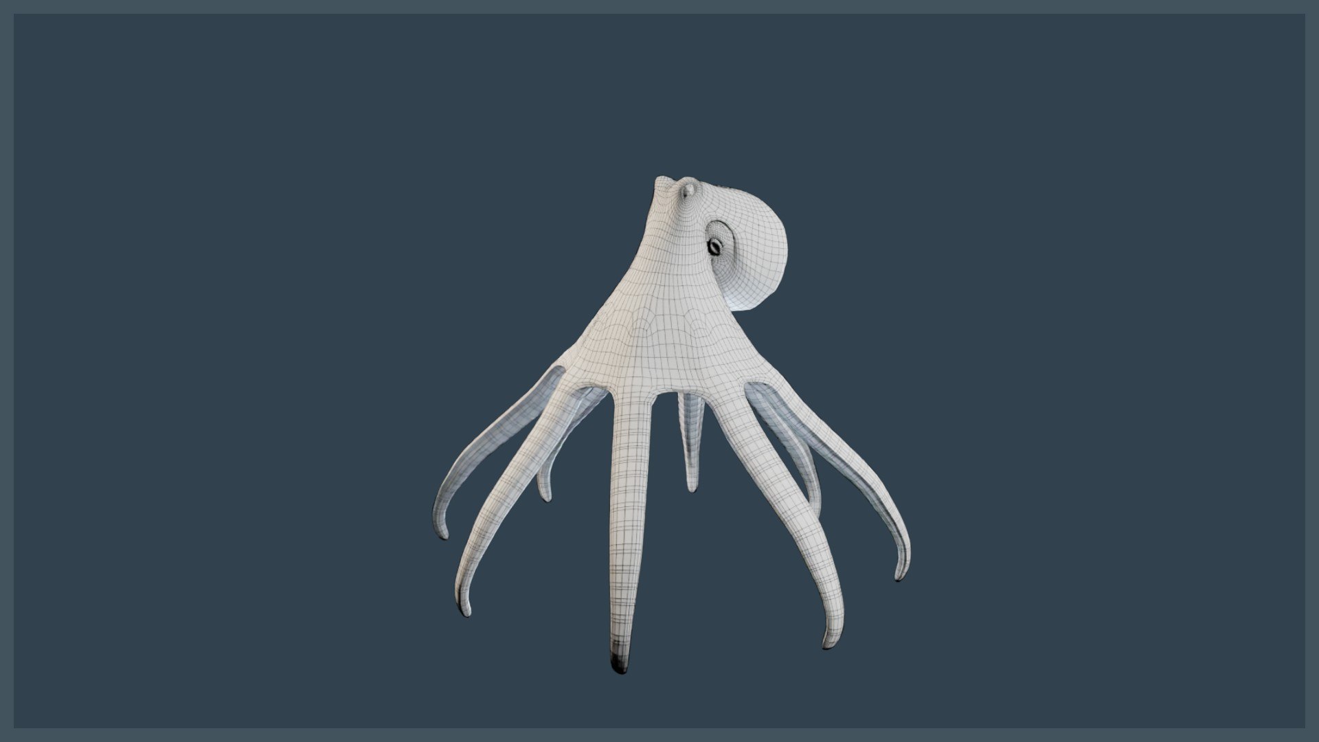 3D octopus swimming animation model - TurboSquid 1609029