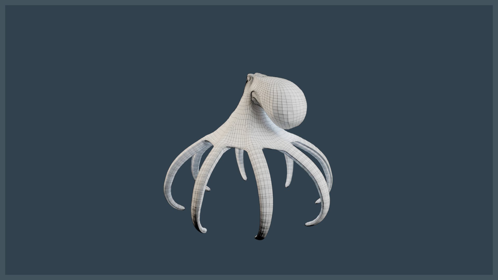3D octopus swimming animation model - TurboSquid 1609029