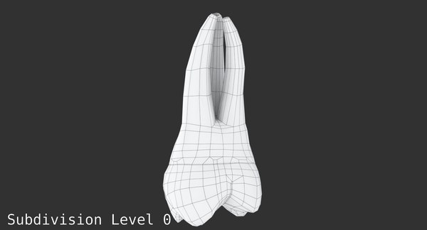 modelo 3d Tercer Molar superior izquierdo - TurboSquid 1253605