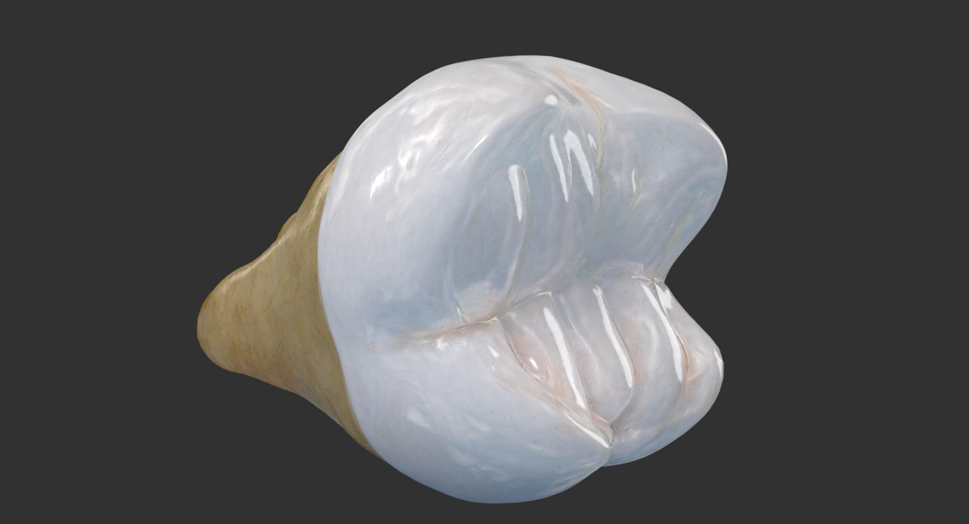 Upper Molar 3D Model - TurboSquid 1253605