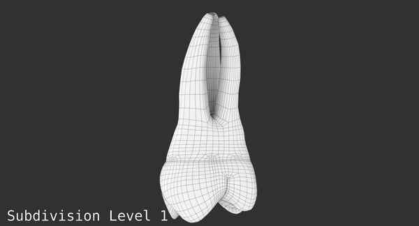 modelo 3d Tercer Molar superior izquierdo - TurboSquid 1253605