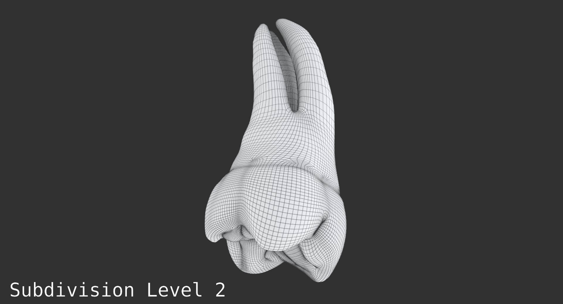 Upper molar 3D model - TurboSquid 1253605