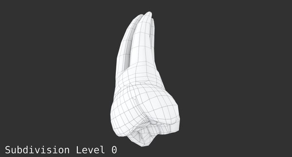 modelo 3d Tercer Molar superior izquierdo - TurboSquid 1253605