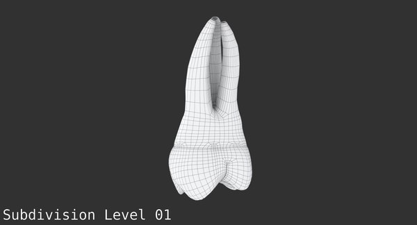 modelo 3d Tercer Molar superior izquierdo - TurboSquid 1253605